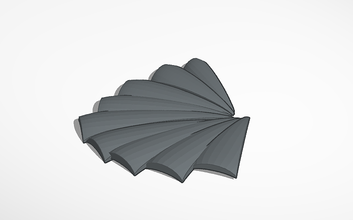 3D design Copy of How to Create a Clam Shell - Tinkercad