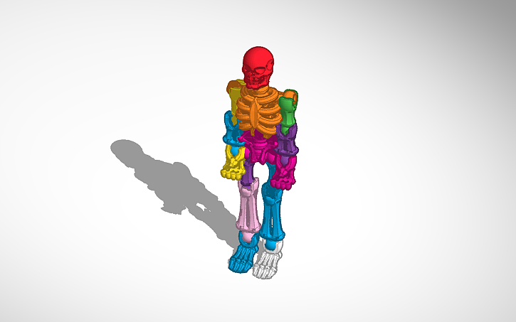 3D design LGBTQ SKELOTON - Tinkercad