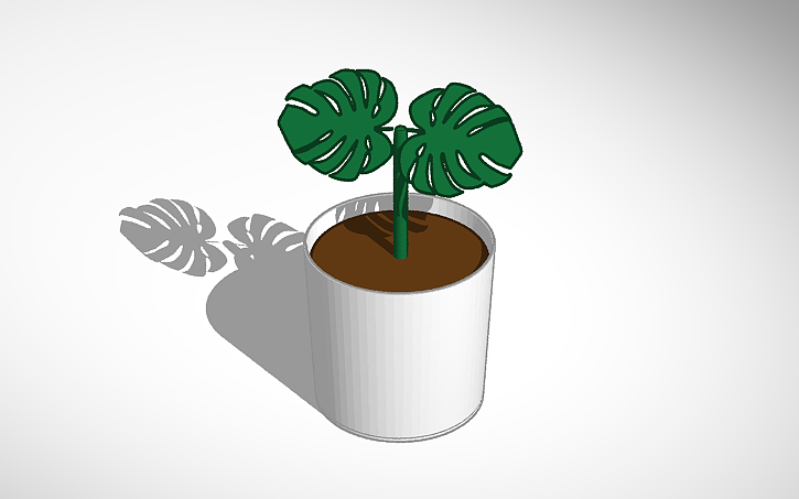 3D design Monstera Plant - Tinkercad