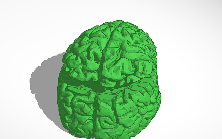3D design Brain container for Eldritch Horror board game - Tinkercad