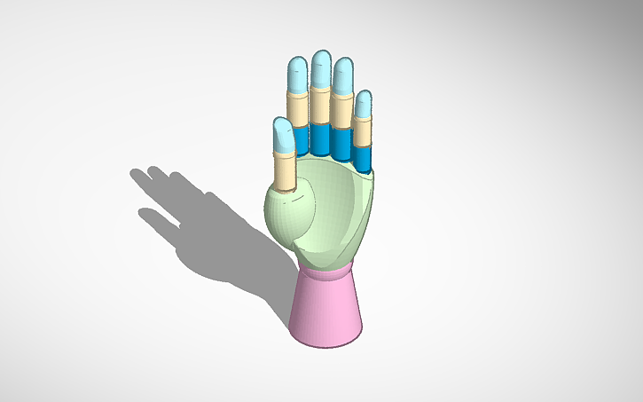 3D design Hand Model - Tinkercad