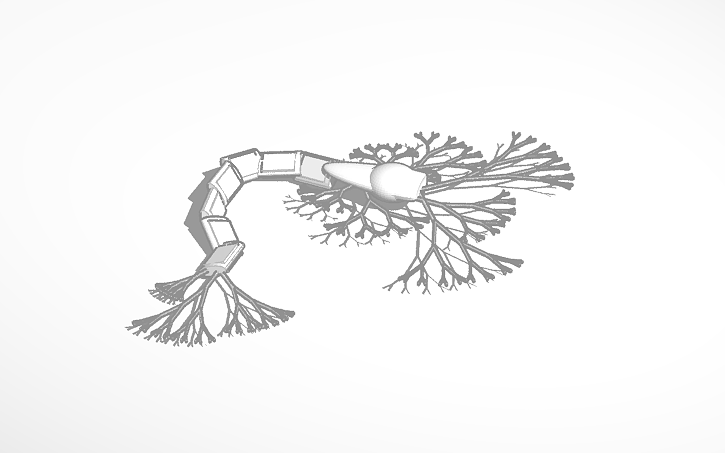 3D design Neuron - Tinkercad