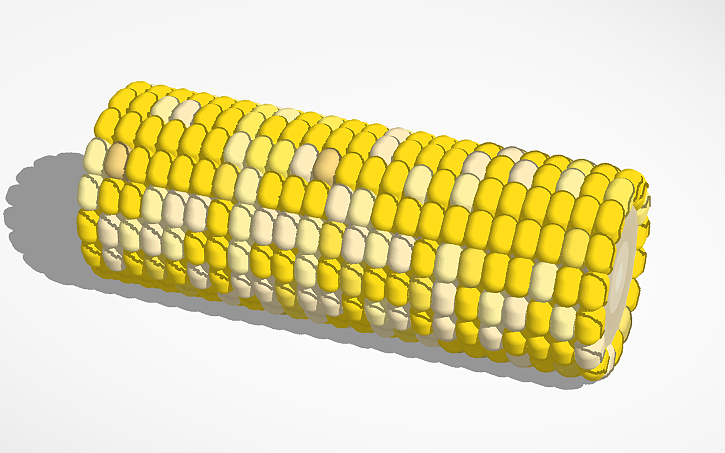 3D design Corn on the cob - Tinkercad