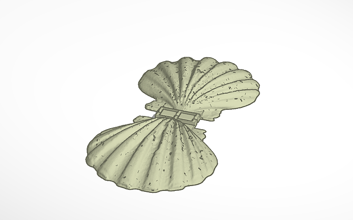 3D design scallop shell - Tinkercad