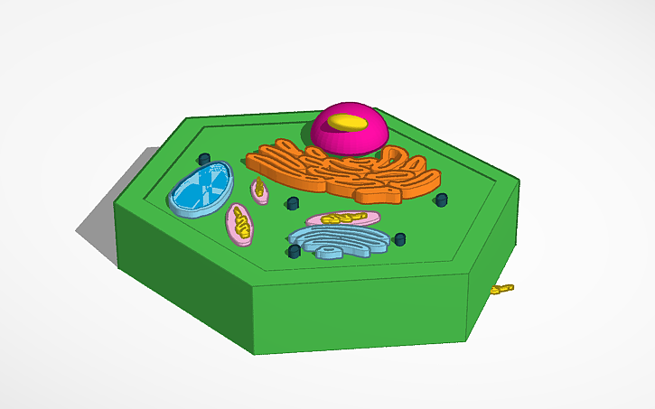 3D design luz daily condori callisaya - Tinkercad