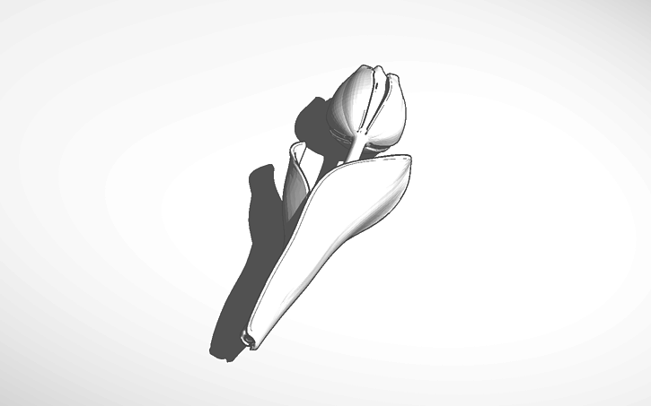 3D design Tulip - Tinkercad