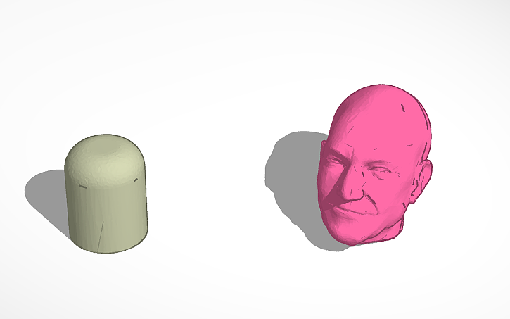 3D design picard head - Tinkercad