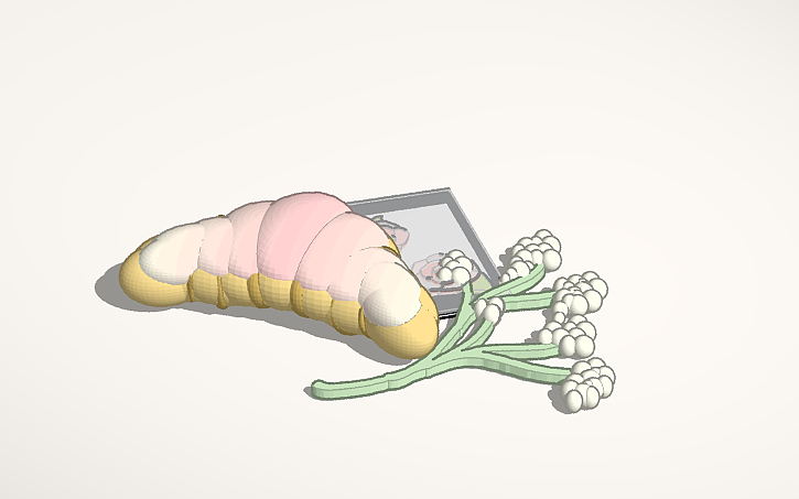 3D design Copy of Aesthetic Contest !! - Tinkercad