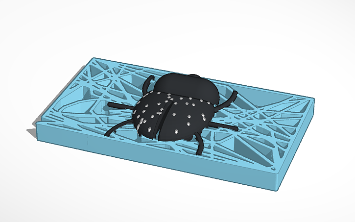 3D design spiderweb with spider on it - Tinkercad