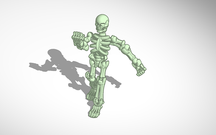 3D design Skeleton - Tinkercad