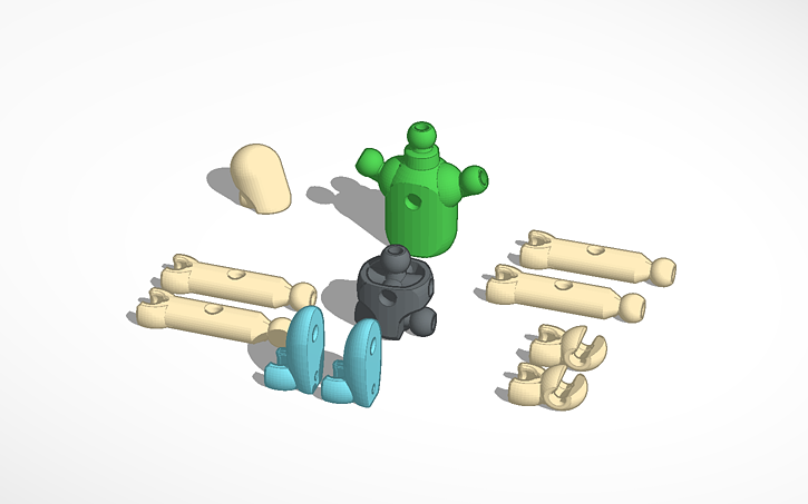 3D design human body parts - Tinkercad