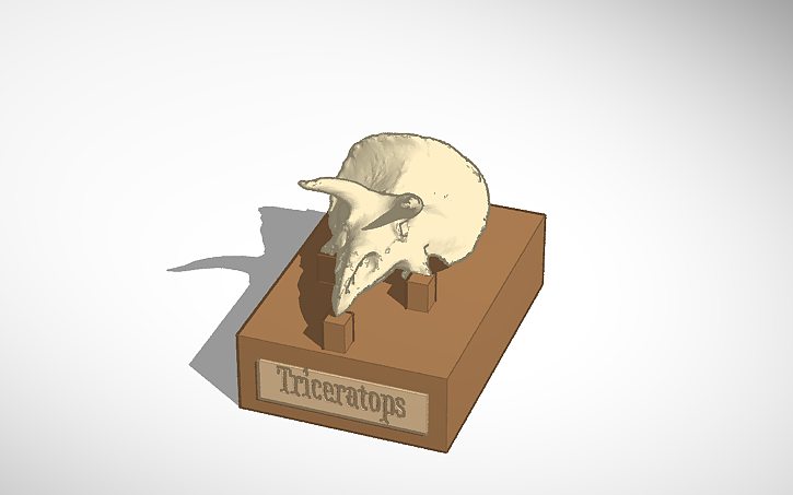 3D design fossil - Tinkercad