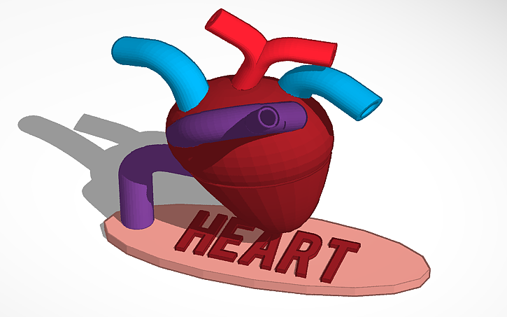 3D design Heart - Tinkercad