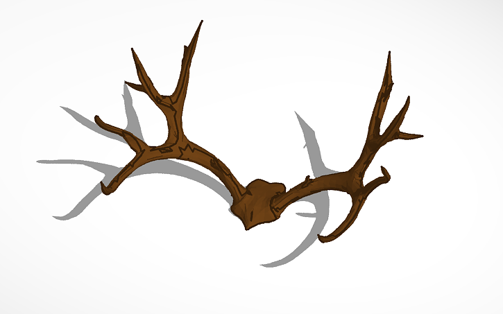 3D design Copy of deer horns - Tinkercad