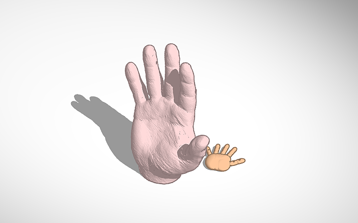 3D design Copy of Human hand - Tinkercad