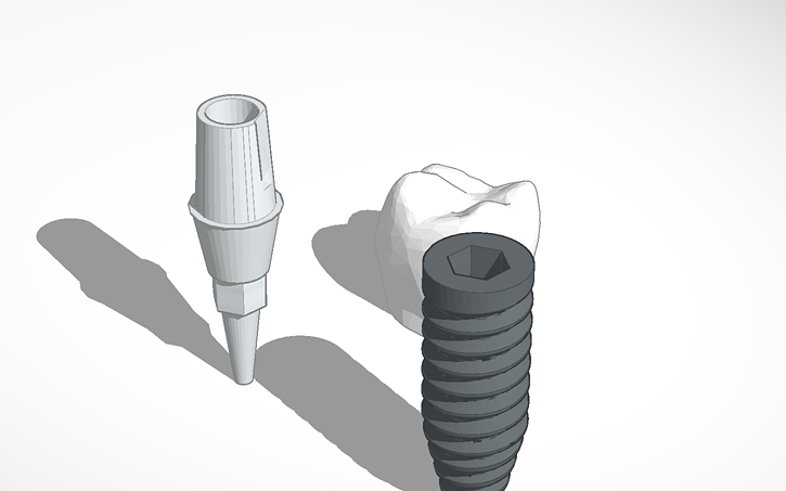 3D design Tooth Brian - Tinkercad