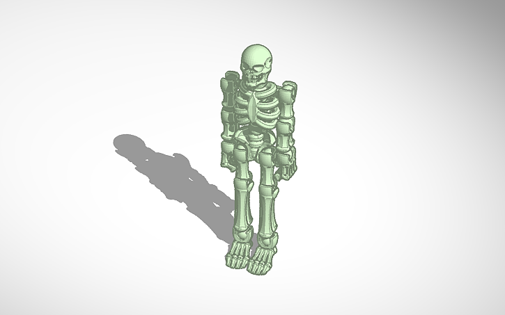3D design Skeleton - Tinkercad