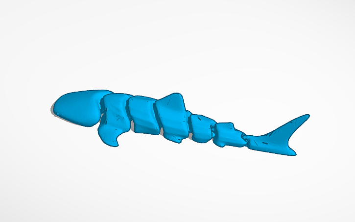 3D design shark - Tinkercad