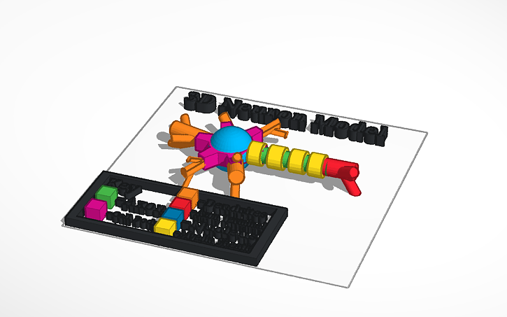 3D design 3D Neuron Model - Tinkercad