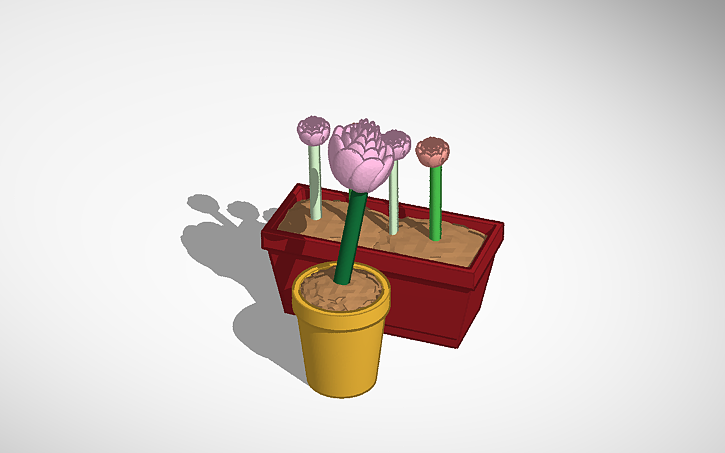 3D design Roses - Tinkercad