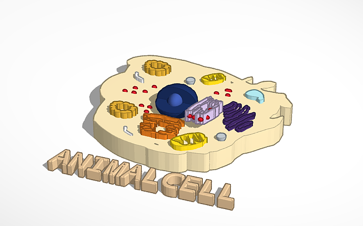 3D design animal cell - Tinkercad