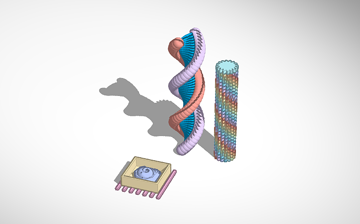 3D design dna - Tinkercad