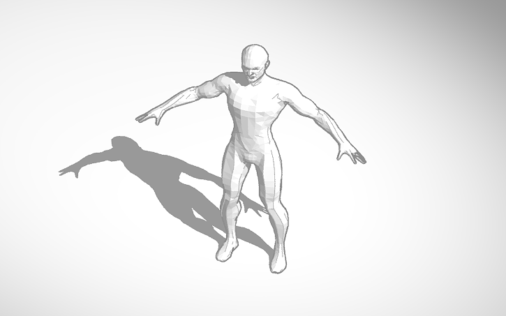 3D design Human Body - Tinkercad