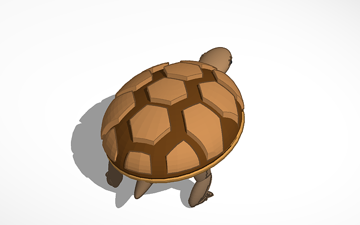 3D design Turtle - Tinkercad
