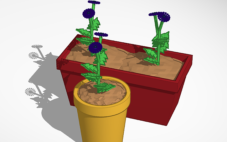 3D design Cornflowers - Tinkercad