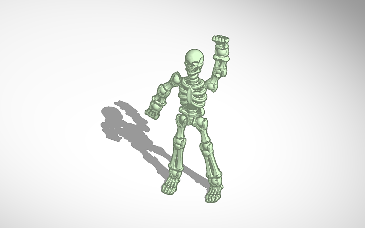 3D design SKELETON - Tinkercad