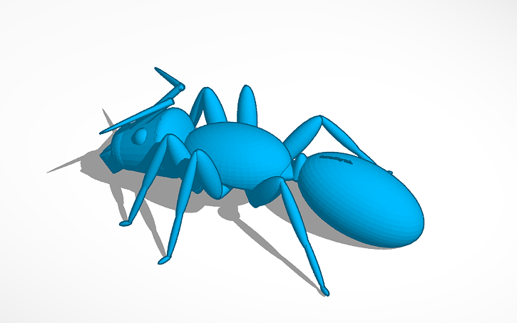 3D design ant - Tinkercad