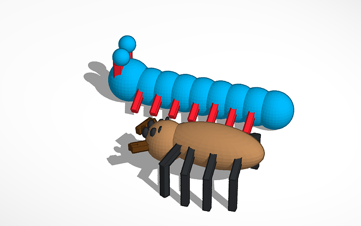 3D design insects - Tinkercad