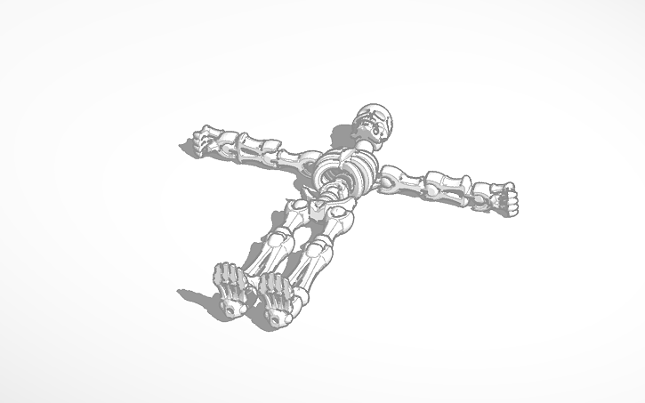 3D design Human Body - Tinkercad