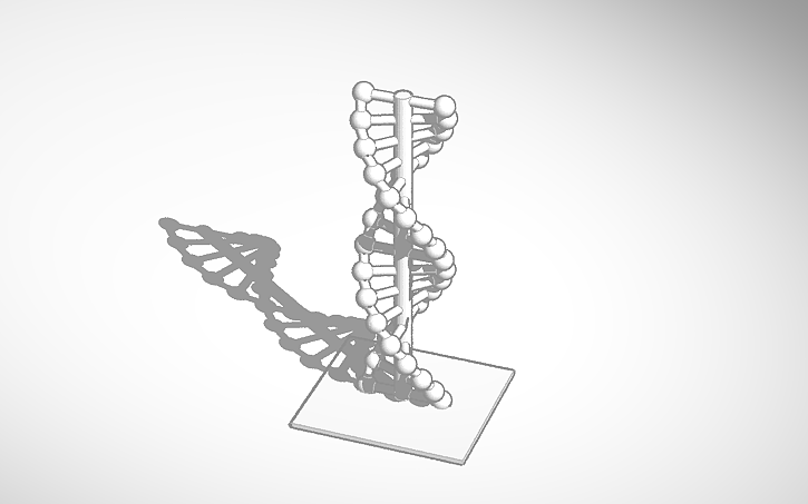 3D design 3D DNA Model - Tinkercad