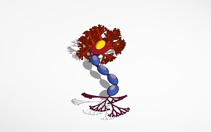 3D design Healthy Neuron - Tinkercad