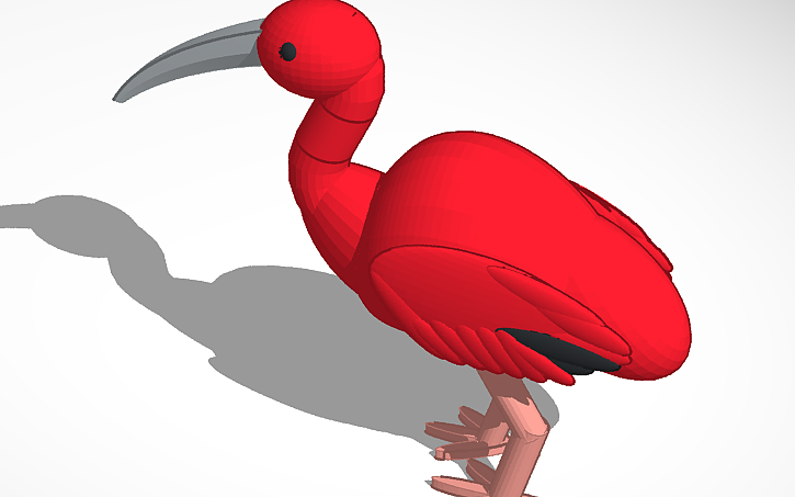 3D design Red ibis - Tinkercad