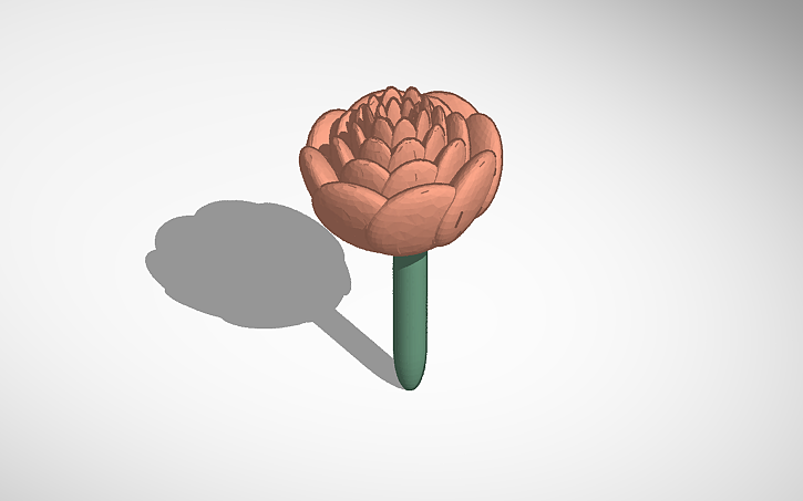 3D design Rosa - Tinkercad