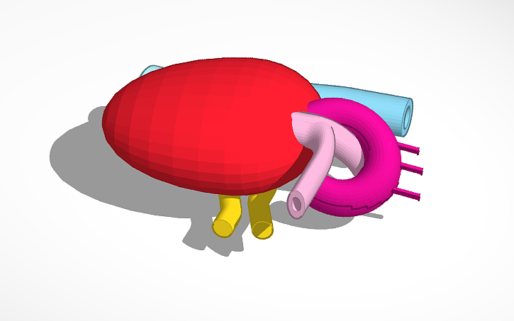 3D design corazon - Tinkercad