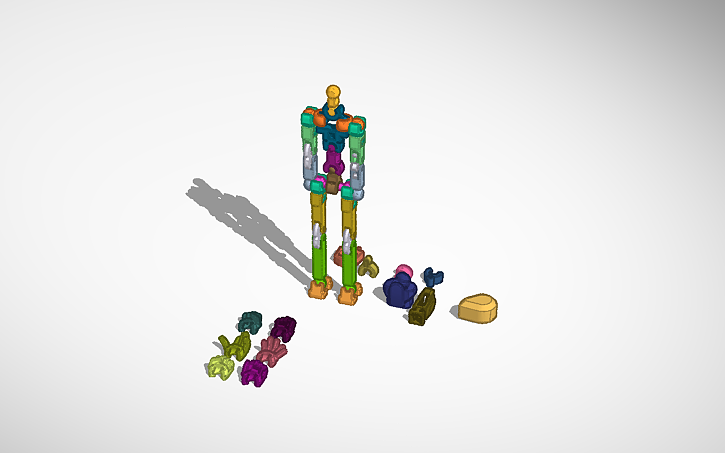 3D design Dummy 13 - Tinkercad
