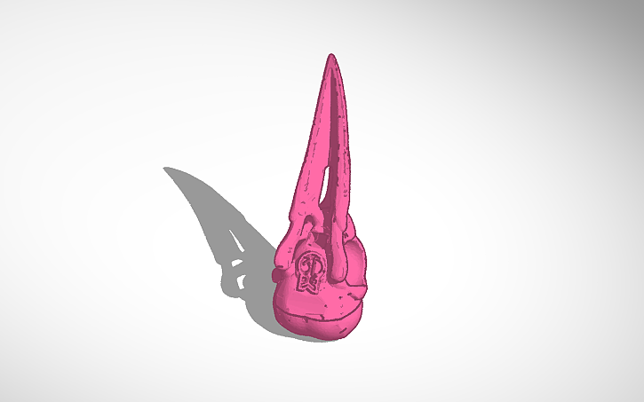 3D design raven skull 1 peice - Tinkercad