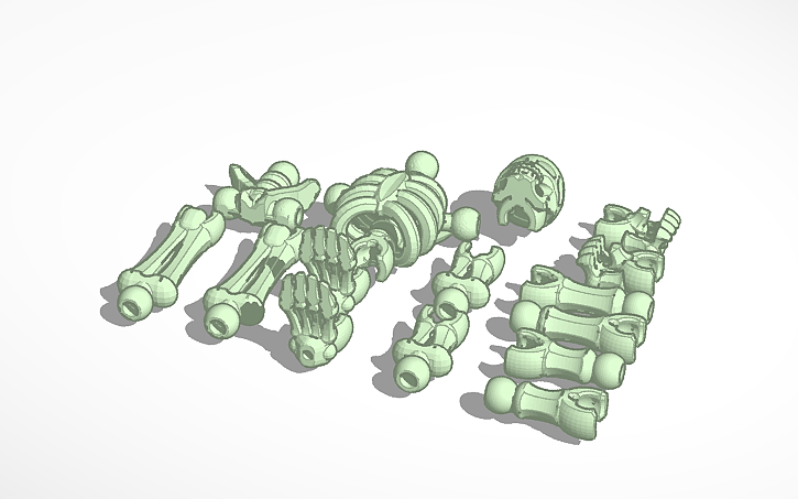 3D design bone body - Tinkercad