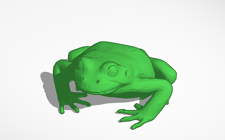 3D design Big Frog! - Tinkercad