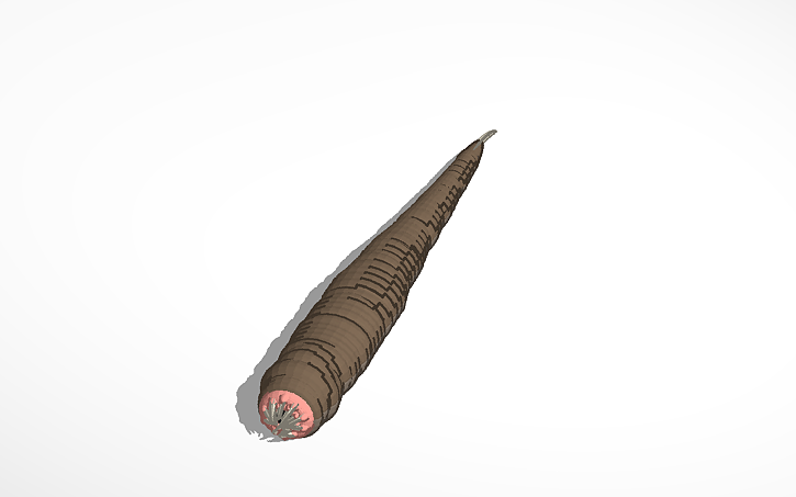 3D design Backrooms Entity 48: Memory worm (Wikidot) - Tinkercad
