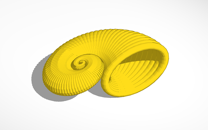 3D design A Smaller Shell - Tinkercad