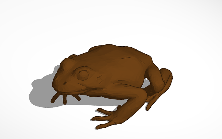 3D design Frog - Tinkercad
