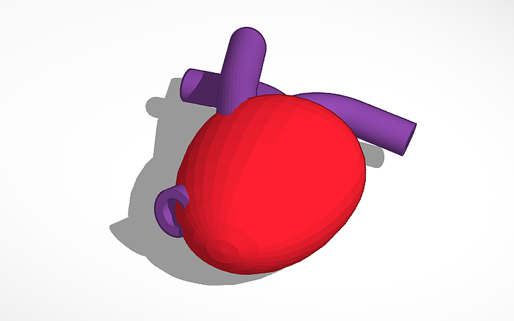 3D design Heart Model - Tinkercad