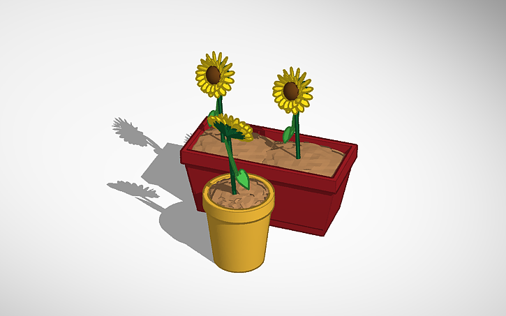3D design Copy of Flowers Challenge - Flower Pot - Tinkercad