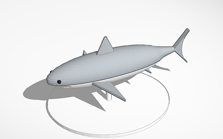 3D design Great White Shark - Tinkercad