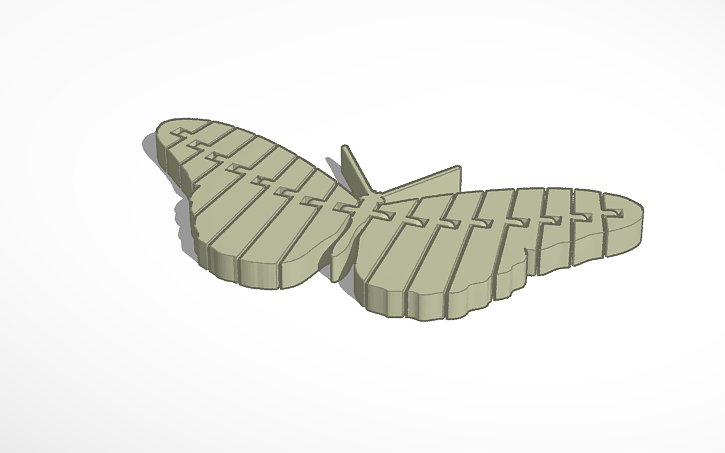 3D design butterfly - Tinkercad