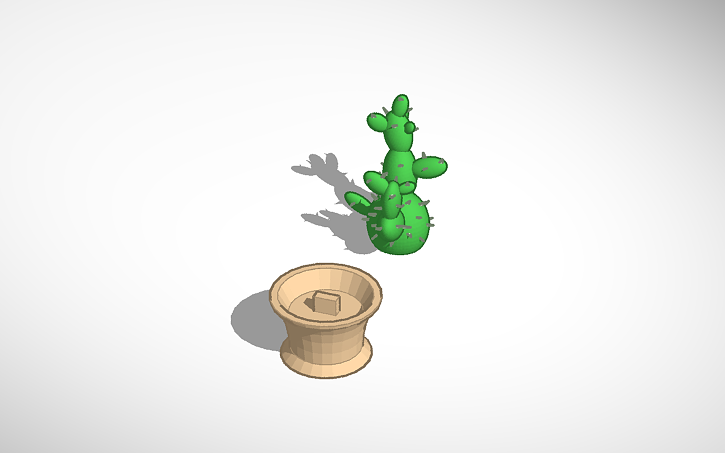 3D design Cactus in a pot - Tinkercad